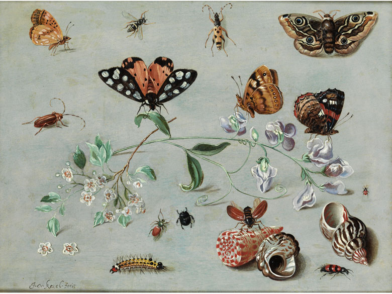 Jan van Kessel I, um 1626 – 1679 - Hampel Kunstauktionen