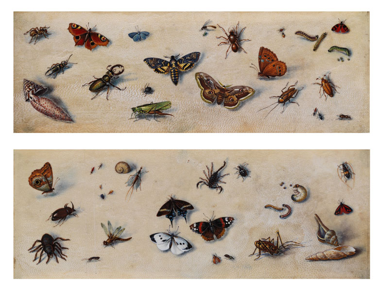 Joris Hoefnagel, 1542 - 1601, zug. - Hampel Kunstauktionen