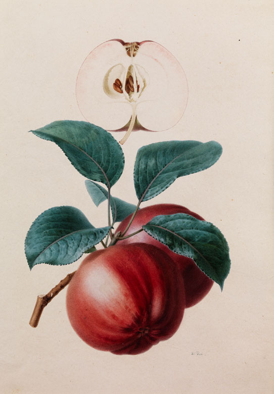 Alfred Riocreux, 1820 Sèvres – 1912 Paris - Hampel Kunstauktionen